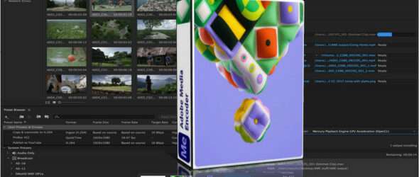 Adobe Media Encoder 2024 v24.1.0.68 - LeSScro